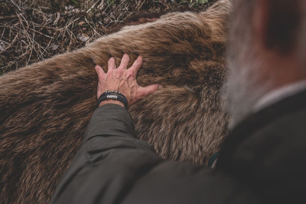 About Bear Man - The Bear Man